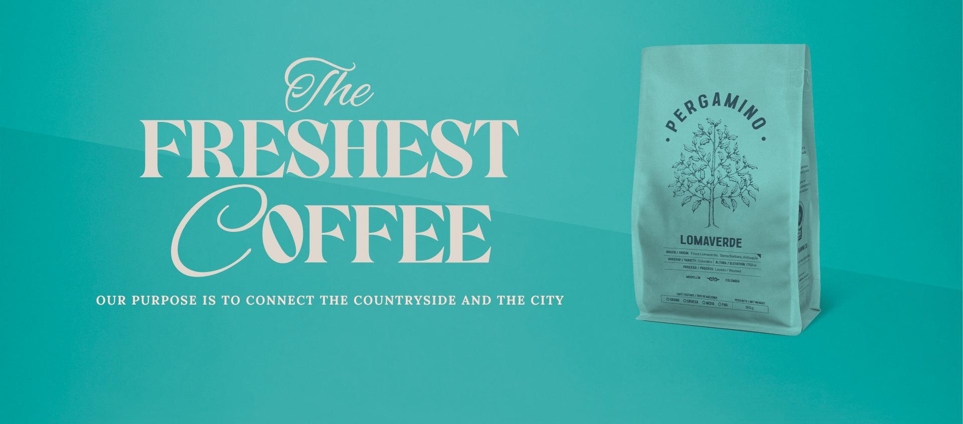 Buy Fresh Colombian Coffee Directly from Origin - Pergamino Cafe ...