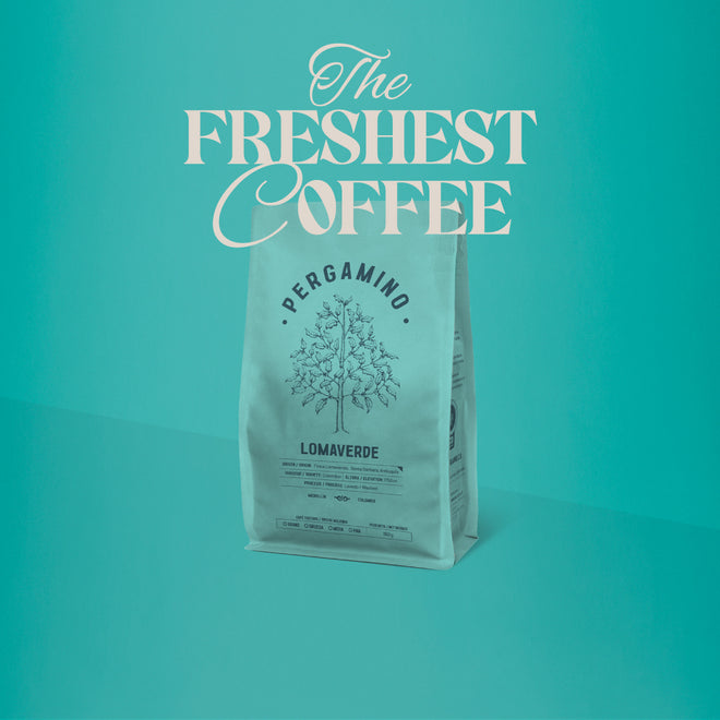 Buy Fresh Colombian Coffee Directly from Origin - Pergamino Cafe ...