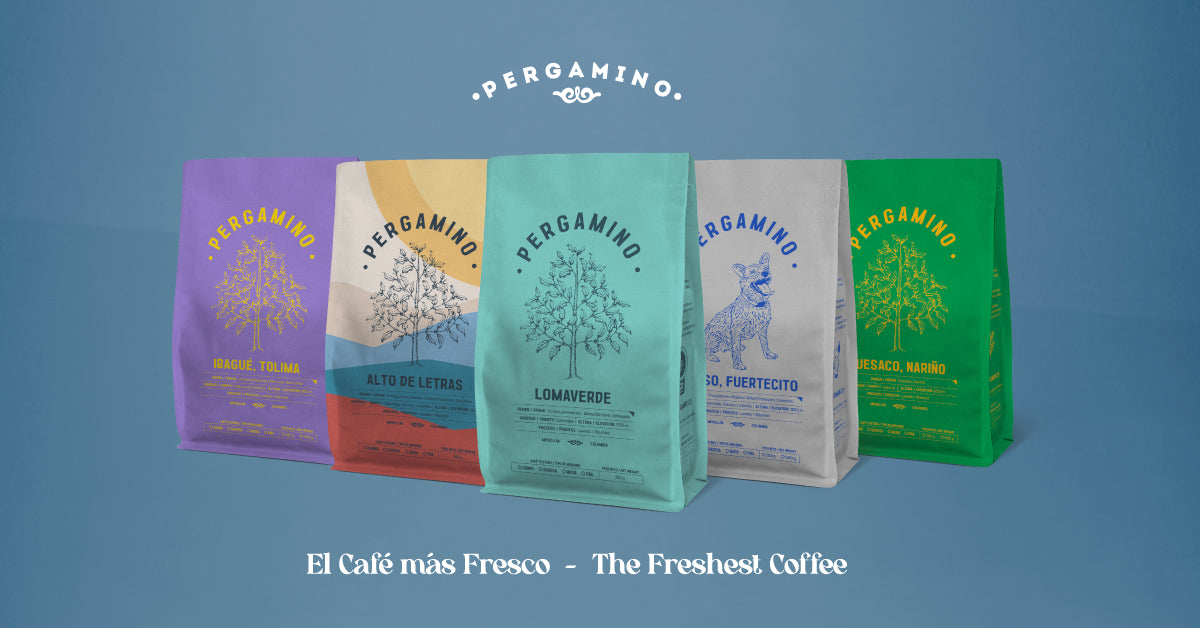 Three-Origin Kit EL BOMBO, Organic – PERGAMINO | US