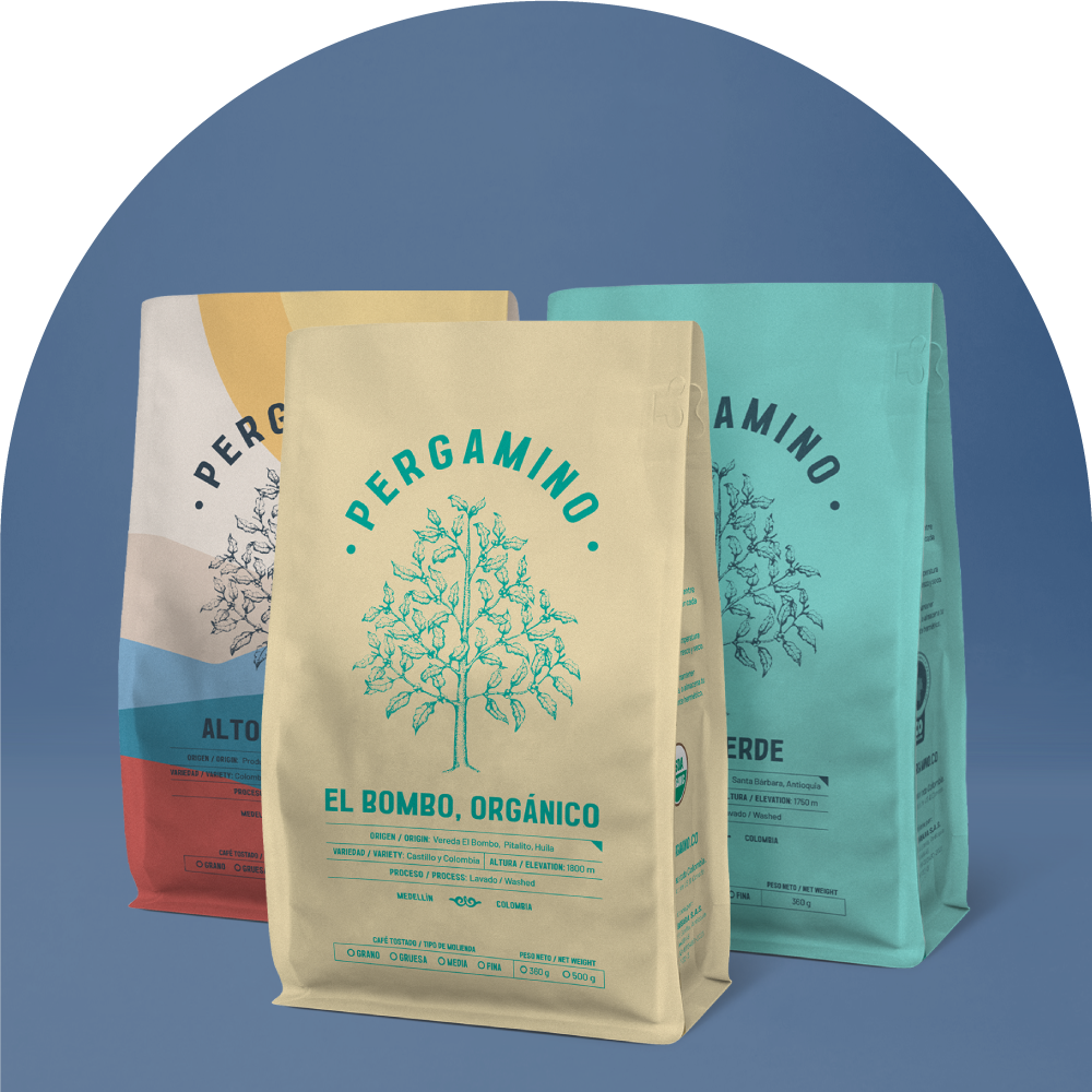 Stores – PERGAMINO | US