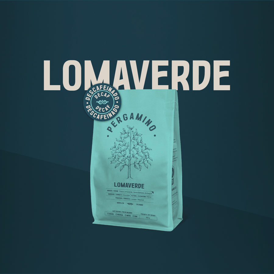 Buy Fresh Colombian Coffee Directly from Origin - Pergamino Cafe ...